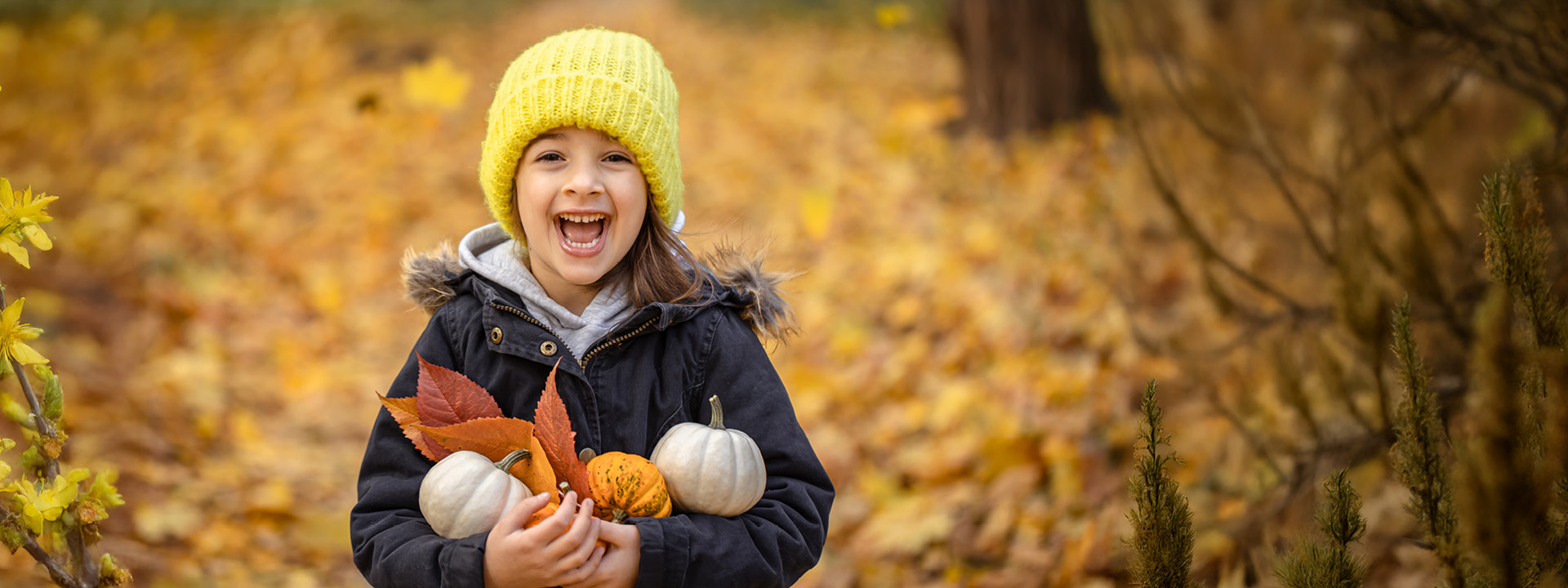 EYFS Activities | Seasons | Profile Education